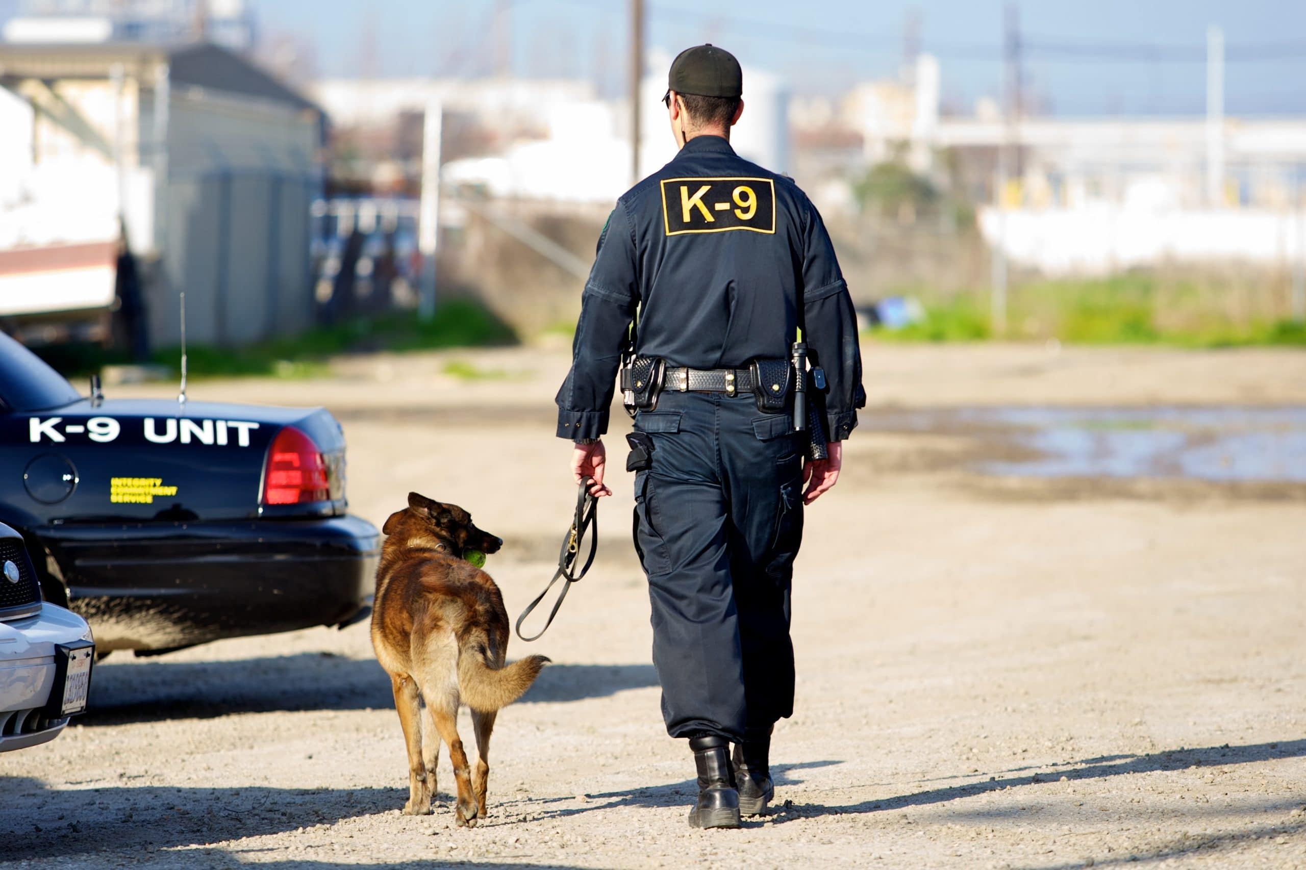 When Can Police Use A Drug Sniffing Dog 